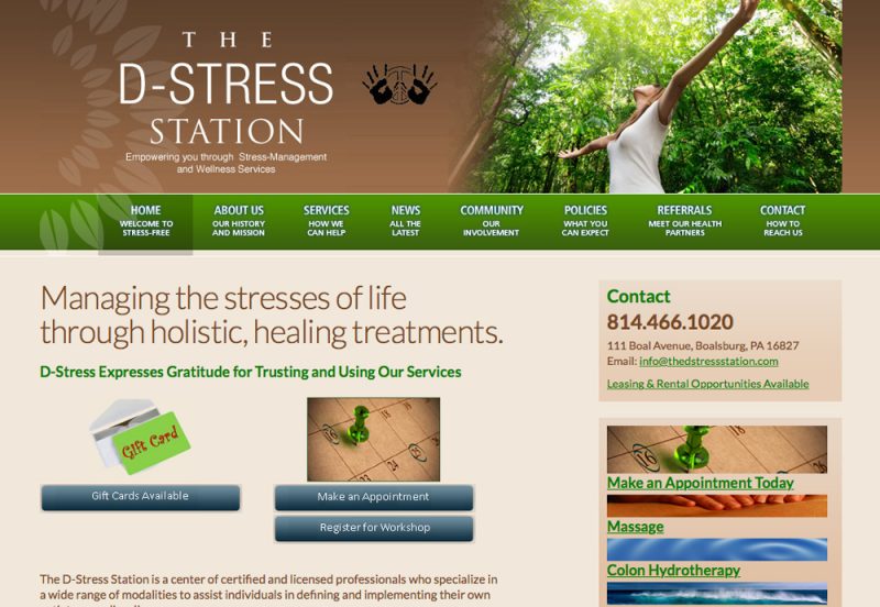 The D-Stress Station – The Artemis Group